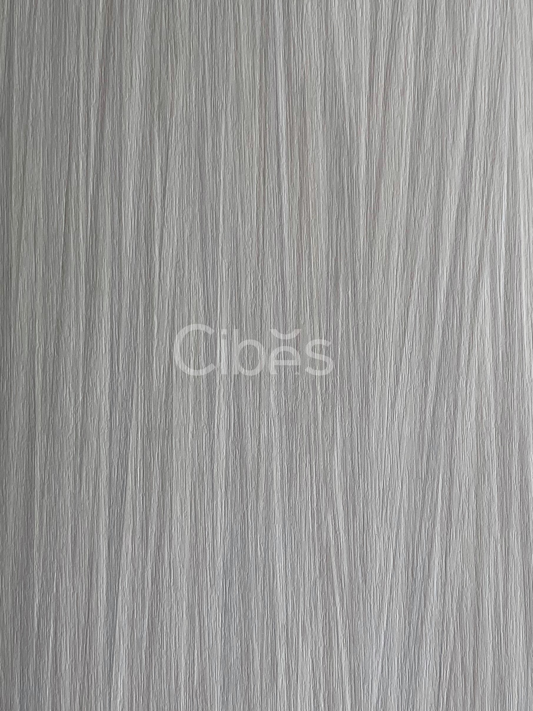 Cibes Voyager V70 Aurora – Thang cabin không giếng thang, thiết kế cao cấp
